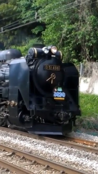 D51 498が通過するだけの動画です #ランナー #jr東日本 #d51498 #d51 - YouTube