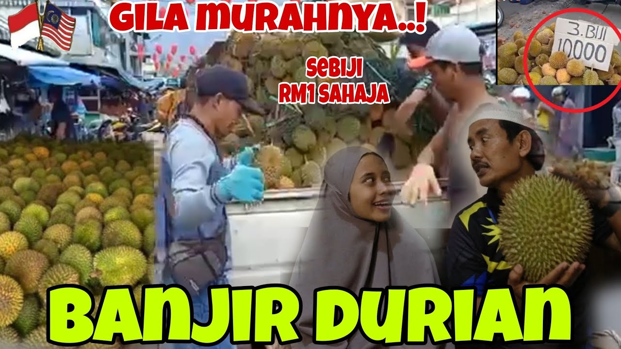MURAH GILA !! BANJIR DURIAN SEBIJI RM1 SAHAJA - YouTube