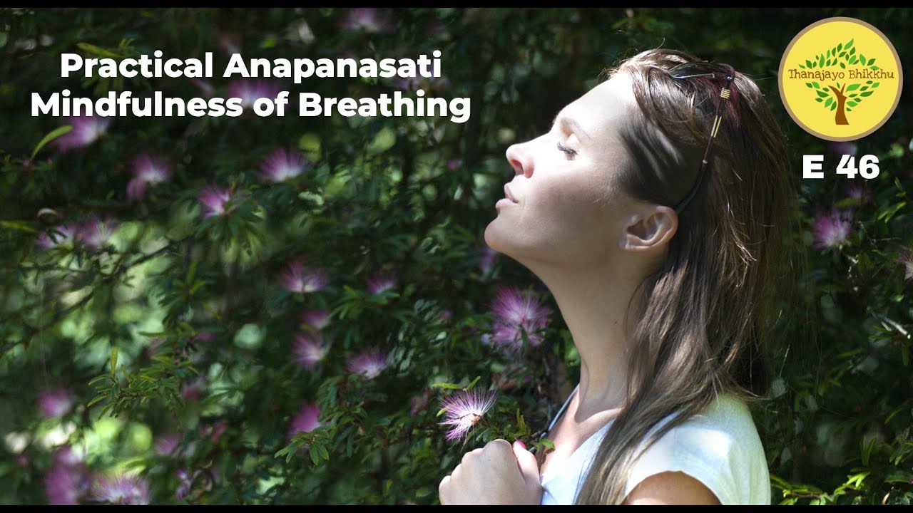 Practical Anapana Sati | Mindfulness of Breathing Meditation (from the ...