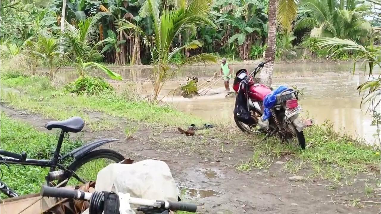 Mga farmer na mga masipang gaya ko mga kapogi 😘♥️♥️ - YouTube