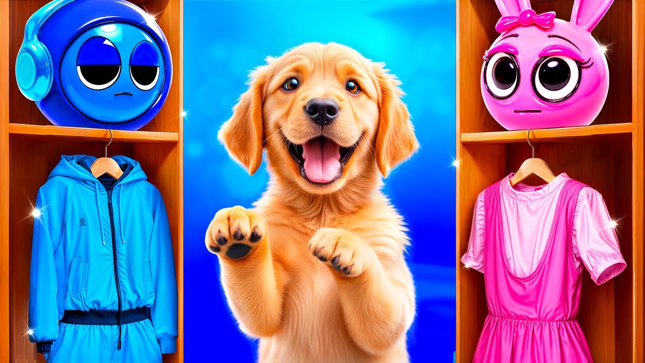 Construímos um Quarto Secreto para Pets! Azul vs Rosa - YouTube