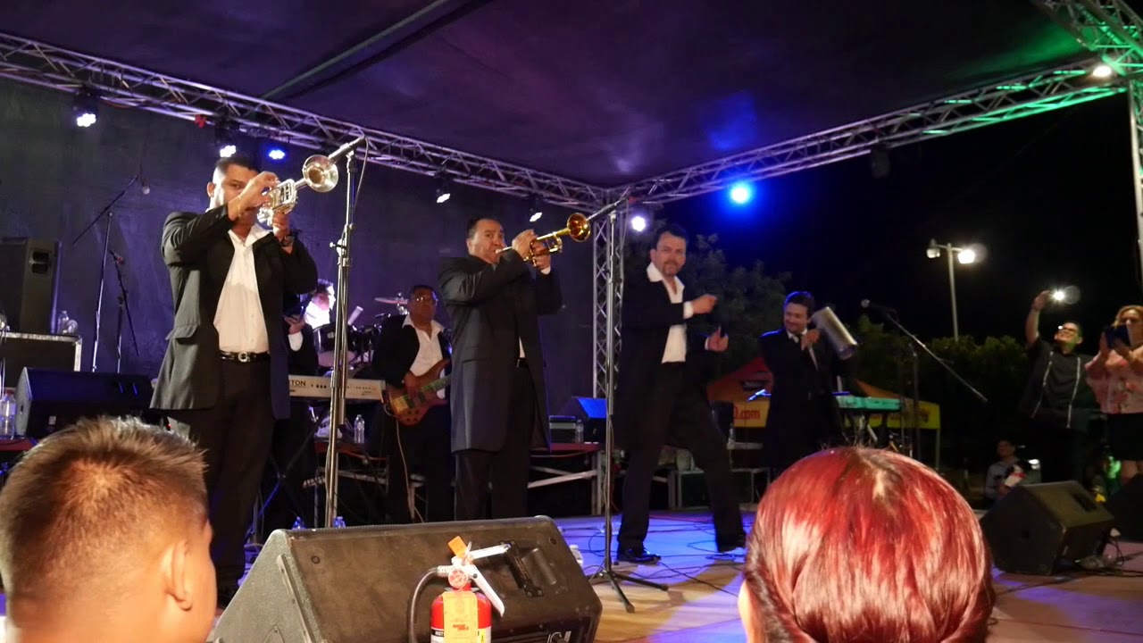 Banda Pachuco Mambo 8 - YouTube