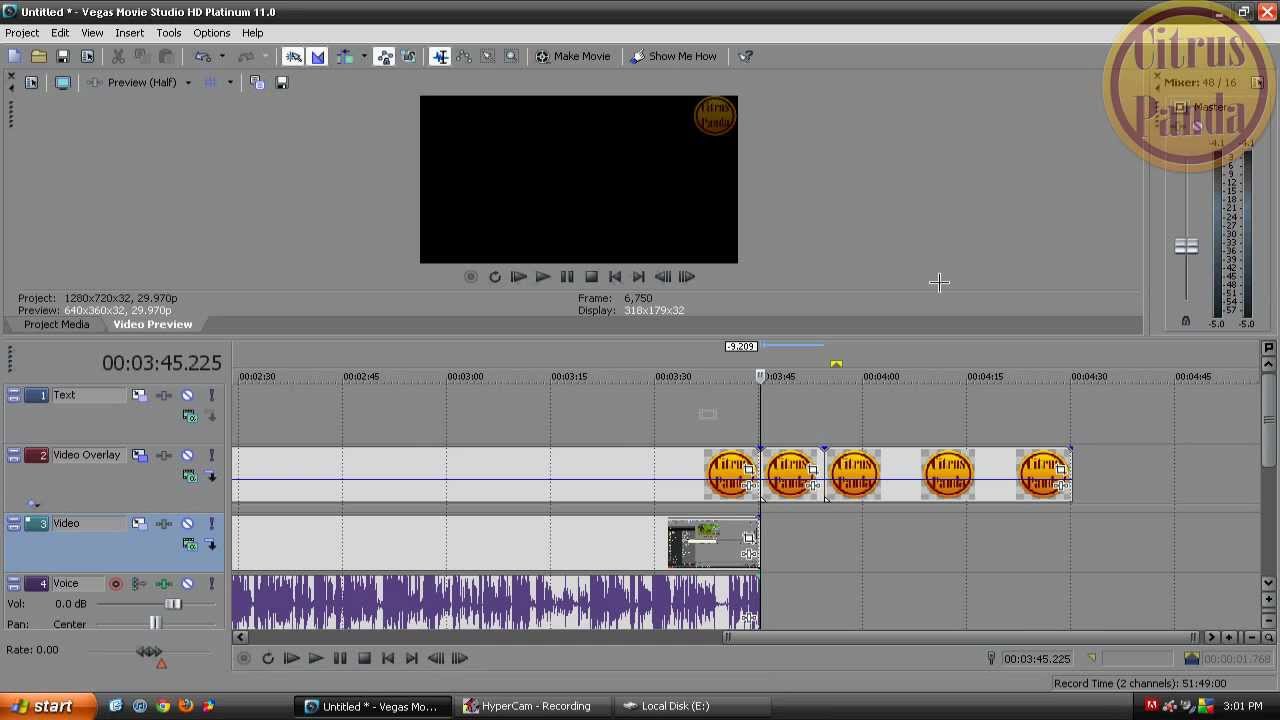 How To Make A Basic Watermark How To Remove Black Lines From Videos how-to-make-a-basic-watermark-how-to-remove-black-lines-from-videos