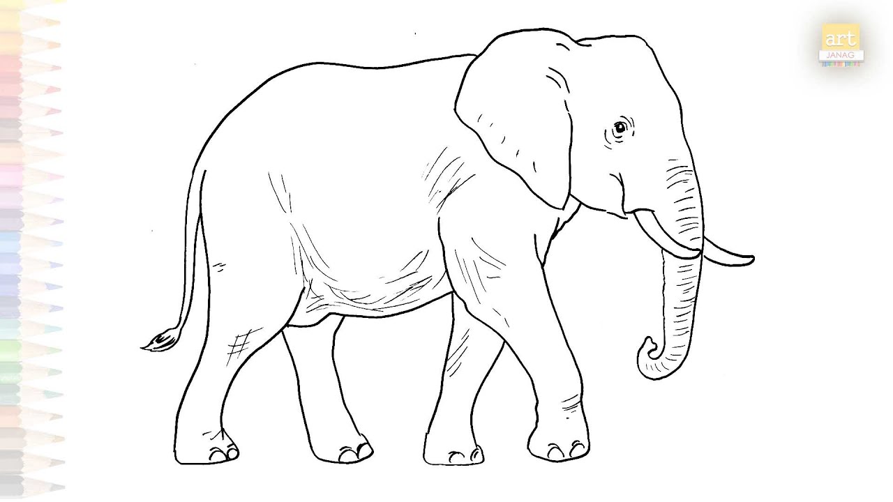 ELEPHANT outline drawings easy | Wild animal drawing tutorial | How to ...