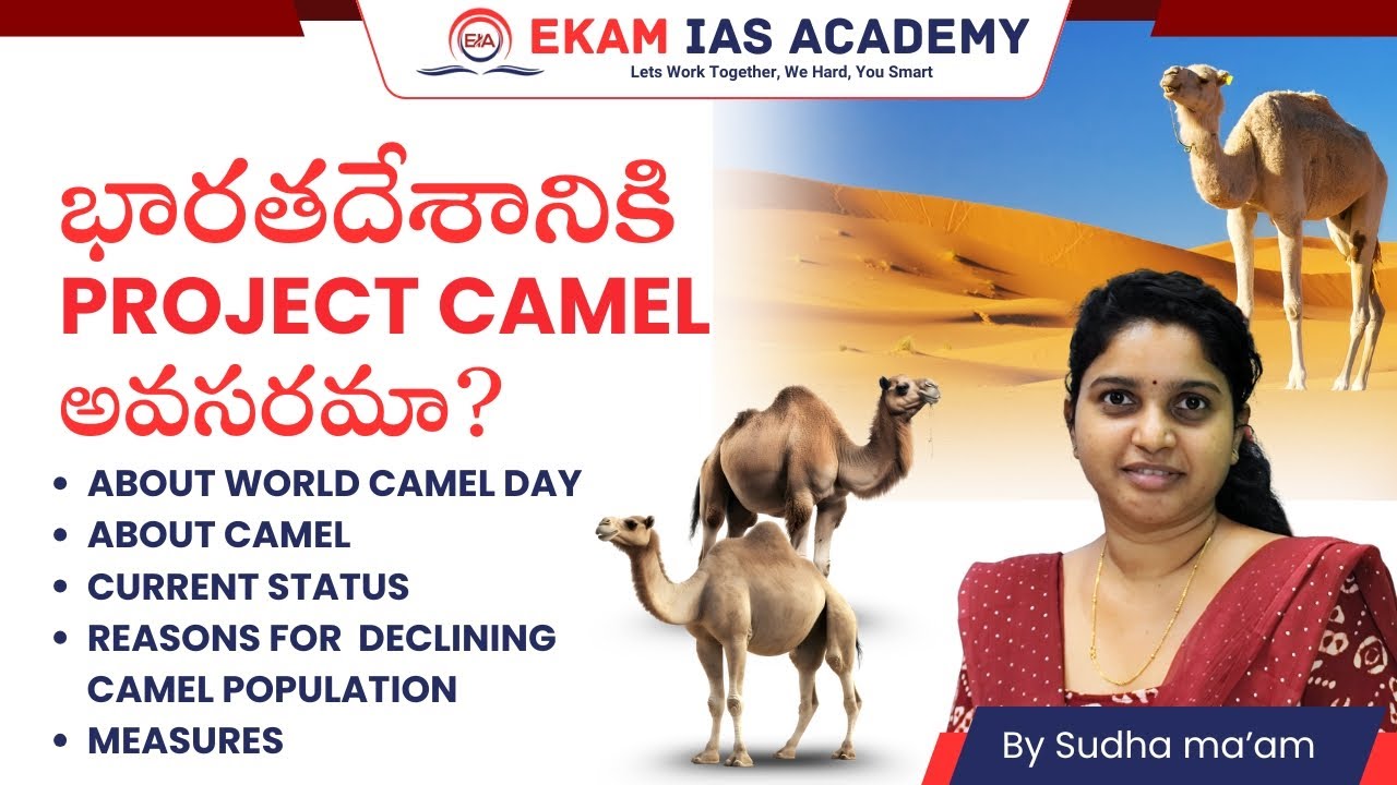 Project Camel & World Camel Day Analysis | Why Camels Matter for India ...