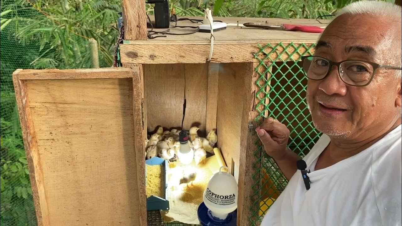 Update sa mga sisiw | Vlog #19 - YouTube