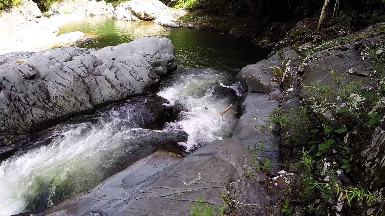 Turisteo @ Charco El Morón, Ciales Puerto Rico - YouTube