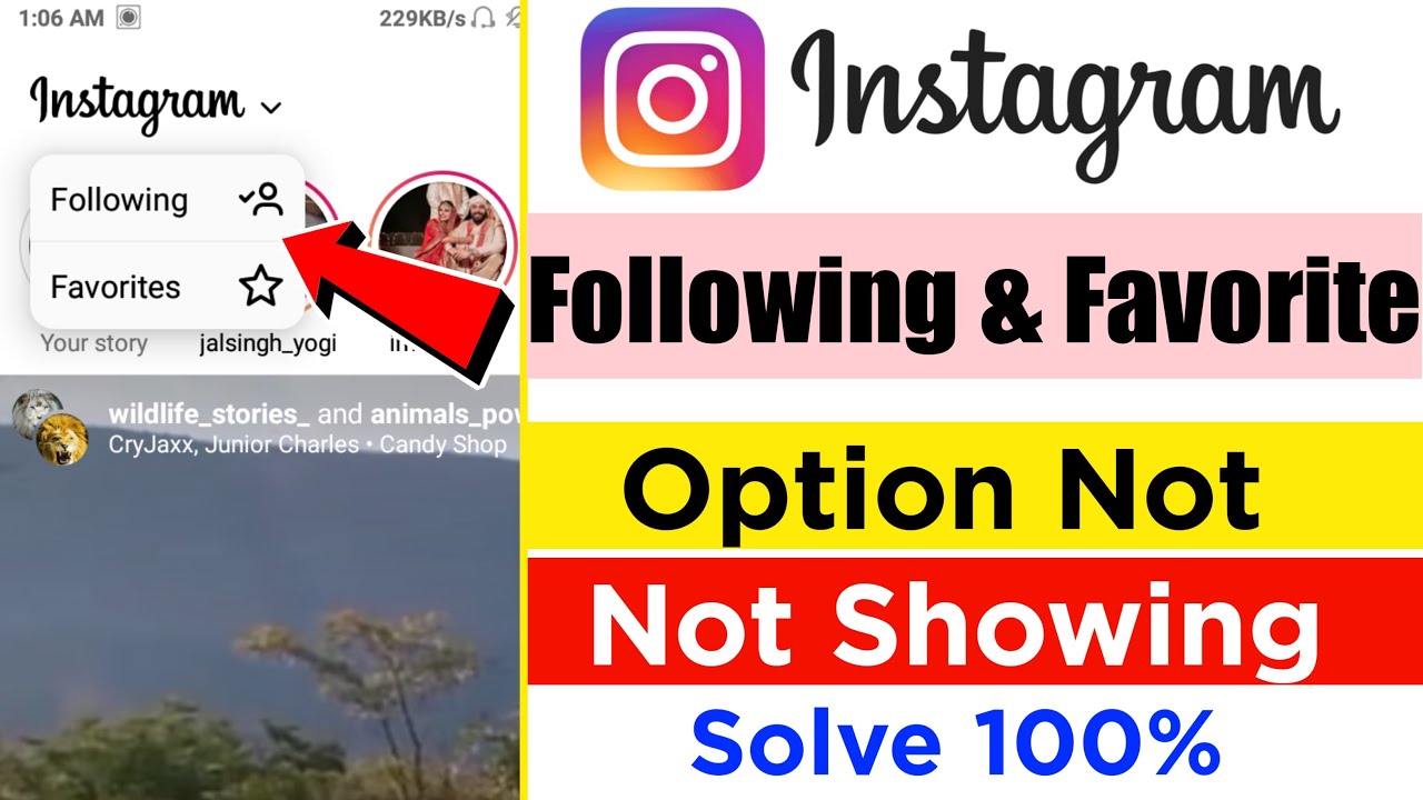 Instagram favorites and following not showing | instagram favorites ...