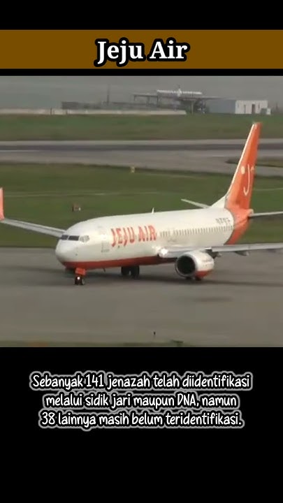 Kecelakaan pesawat Jeju air #videoviral #jejuair #jejuaircrash - YouTube