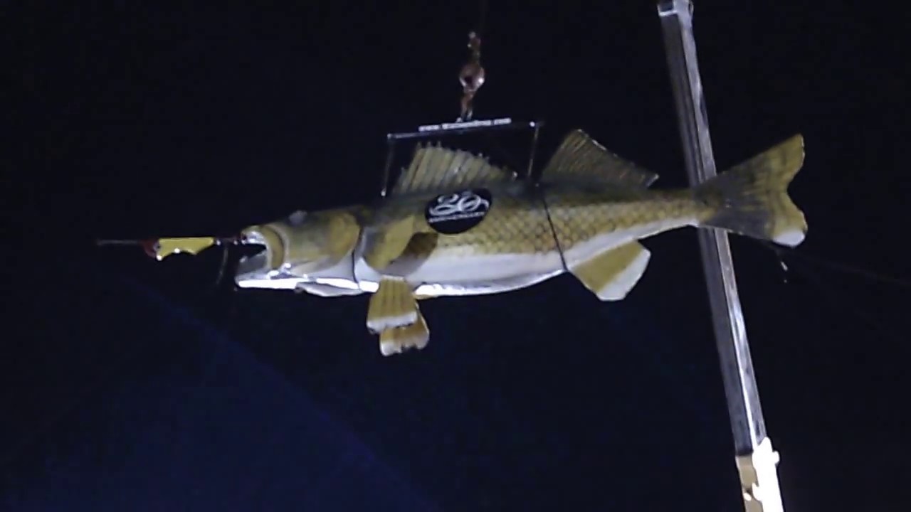 Walleye Drop, new years eve, Port Clinton, Ohio Jan.31, 2016. - YouTube