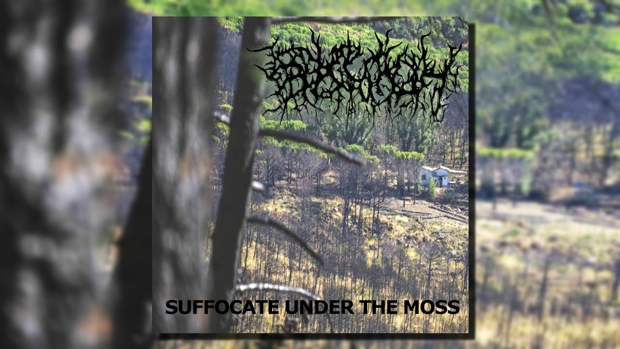BLEACH MILK - Suffocate Under the Moss (EP) - YouTube