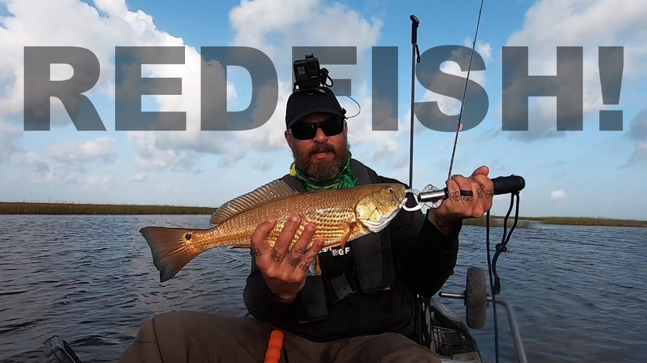 Kayak Fishing: Catching GOLDEN redfish with new fishing gear! - YouTube