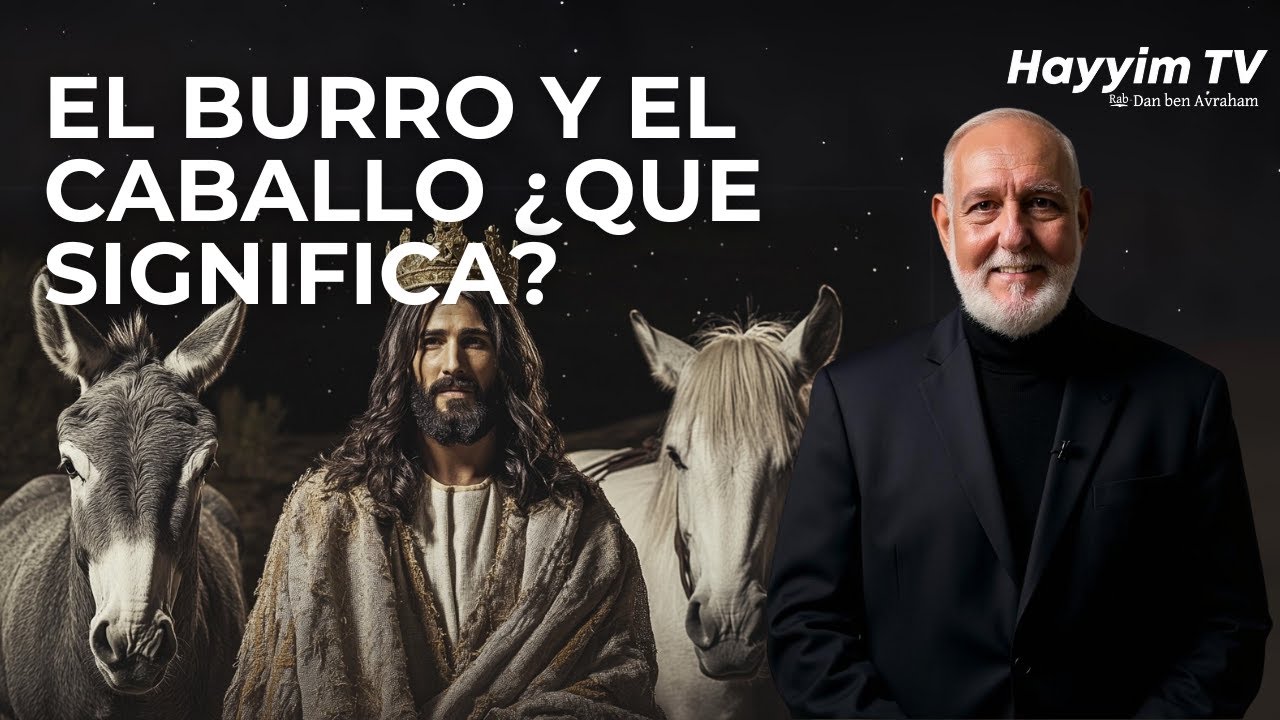EL BURRO GRIS Y EL CABALLO BLANCO - YouTube