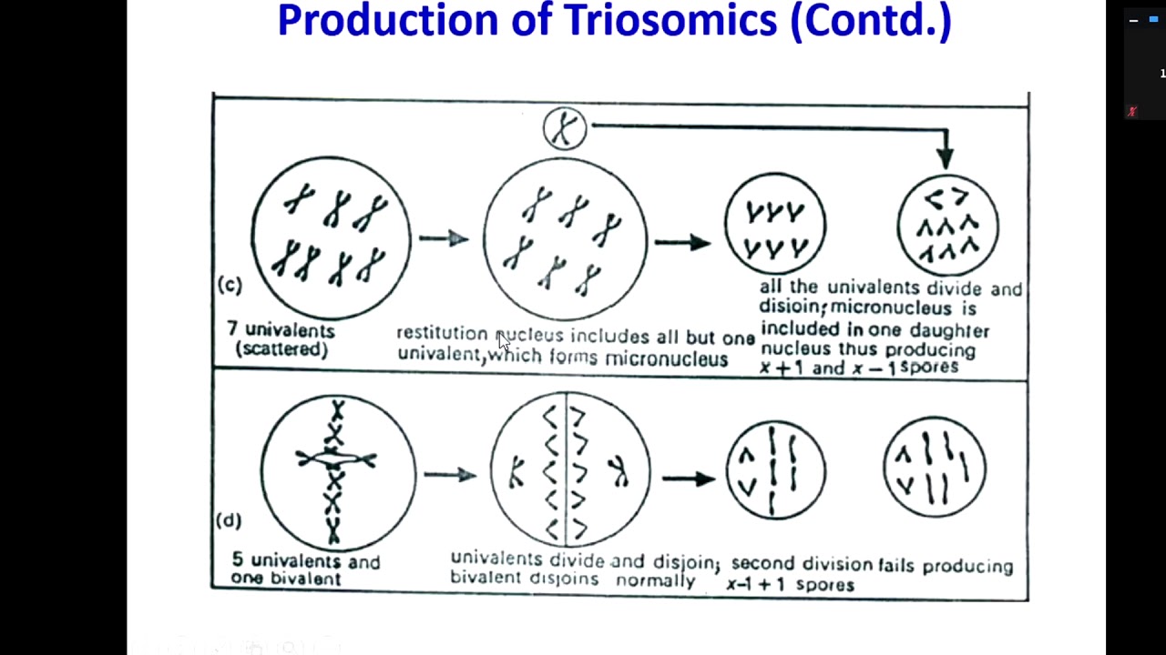 26112020 gpb - YouTube