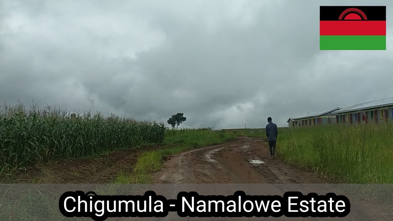 Chigumula - Namalowe Estate #shortvideo #malawi #africa - YouTube