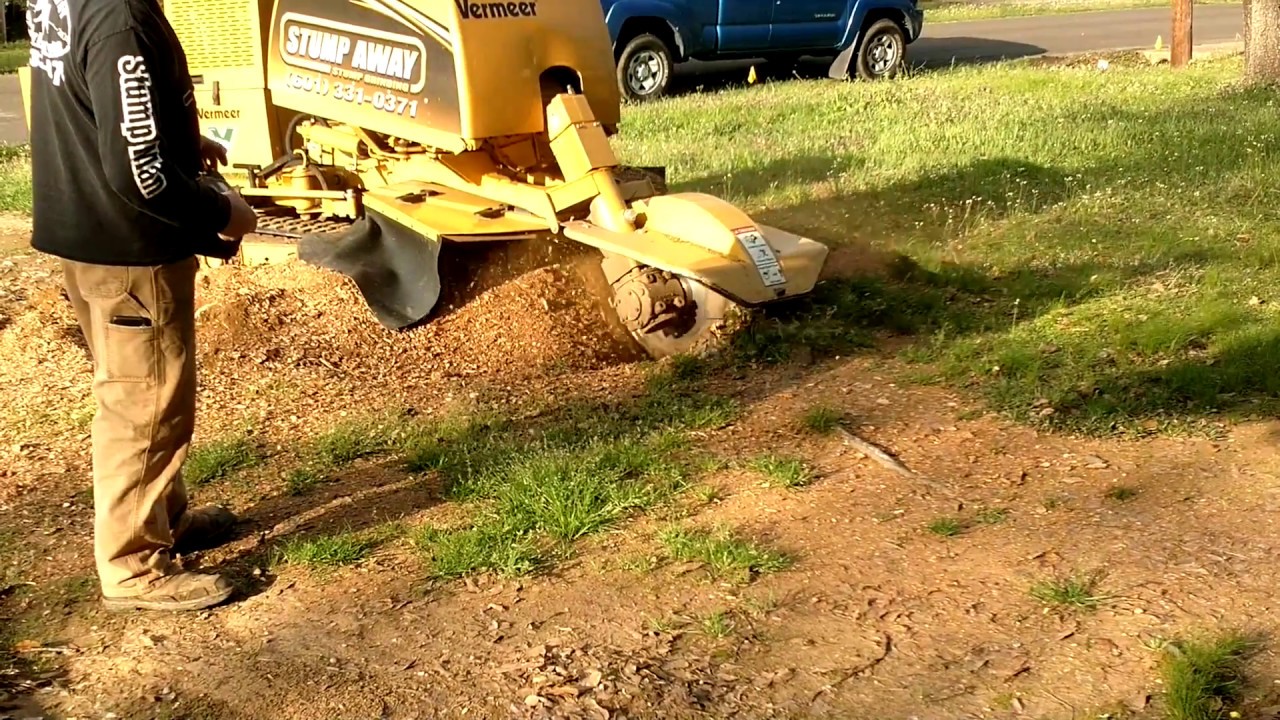 REMOTE CONTROL STUMP GRINDER DEVOURS HUGE STUMP!! - YouTube