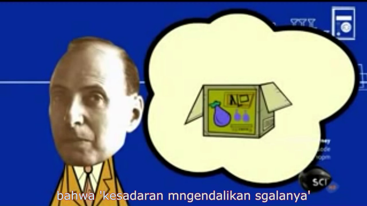 PARADOX KUCING SCHRODINGER - YouTube
