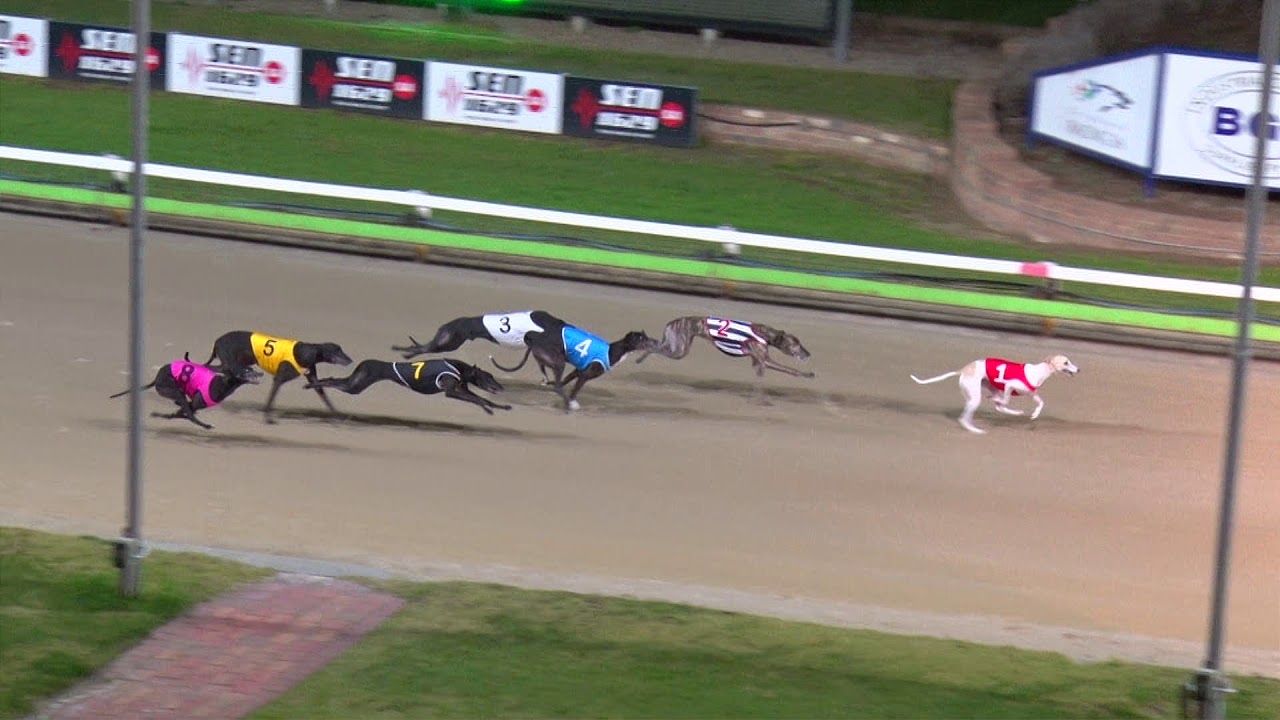 Angle-Park-06072020-Race-8 - YouTube