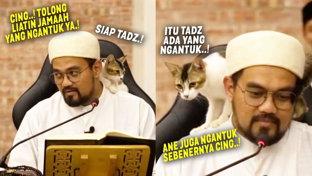 MASYAALLAH.! Gak Mau Ketinggalan, Kucing Ini Ikut Pak Ustadz Berdakwah ...