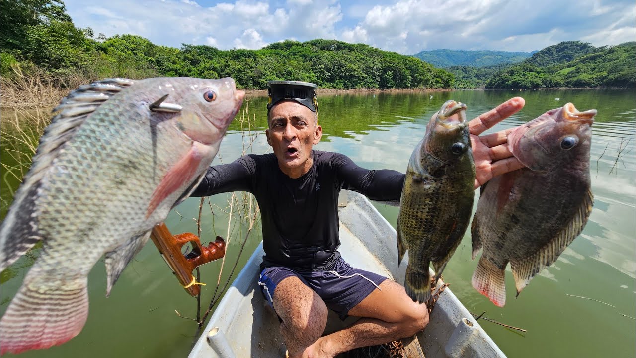 Pesca de tilapia GRANDE con arpón en un lugar lleno de espinas - YouTube