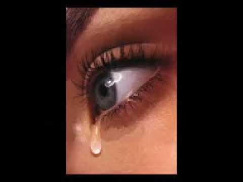 100 damar siir 2009 hi 50977
