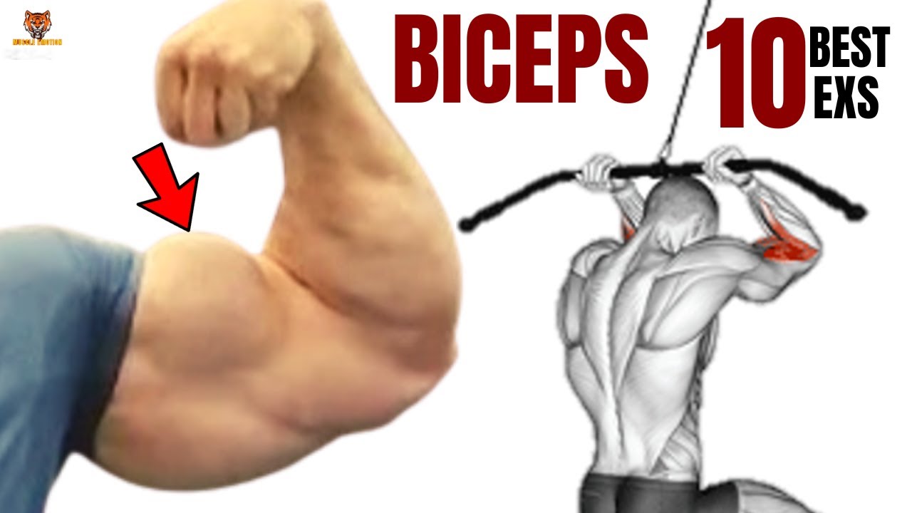 10 BICEPS WORKOUT AT GYM TO GET BIGGER ARMS FAST/ Meilleurs exercices ...