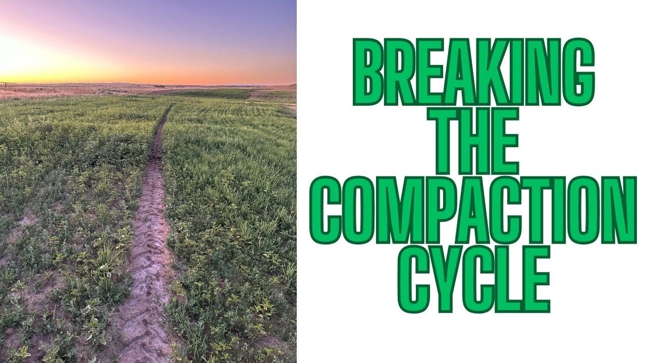 How to Fix Soil Compaction Effectively - YouTube