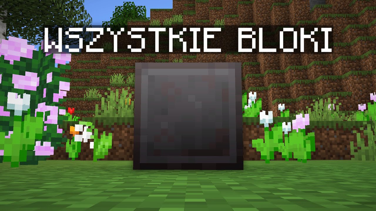 Musiałem zdobyć WSZYSTKIE BLOKI w Minecraft!!! - YouTube