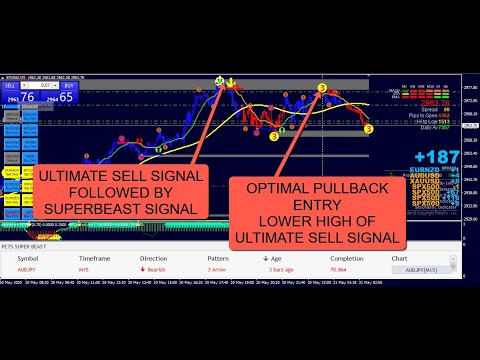 PERFECT ENTRY STRATEGY WITH SUPERBEAST DASHBOARD - YouTube