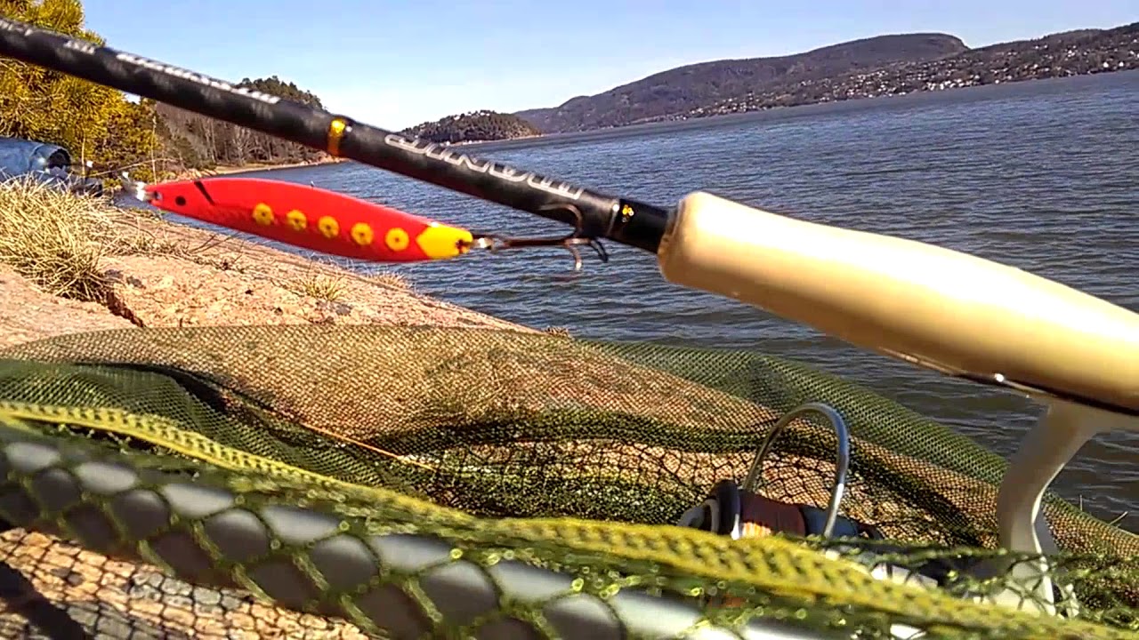 Slukfiske etter sjøørret. - YouTube