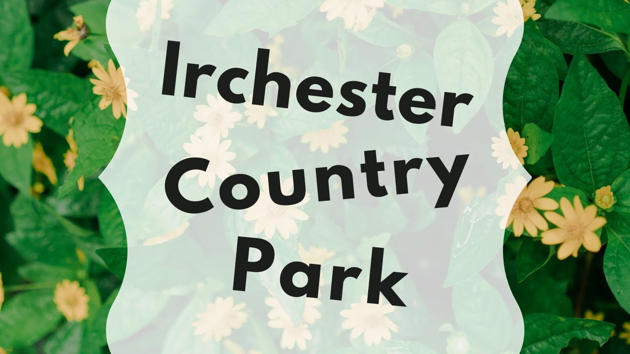 Irchester Country Park: Our BEST Family Day Out in Northamptonshire ...