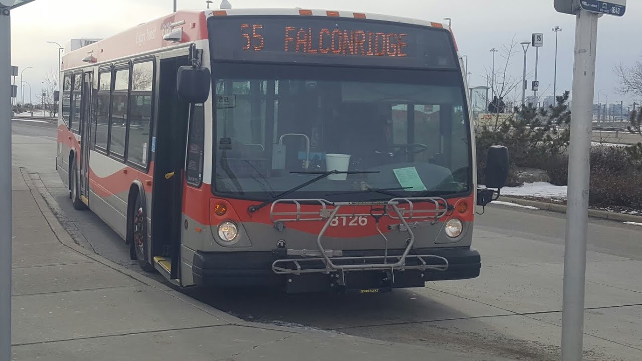 Calgary Transit 2010 Nova Bus LFS #8126 on Route 55 Falconridge - YouTube