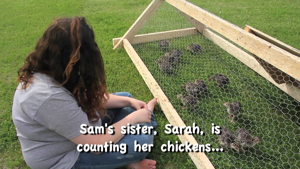 Fat Rabbit Farm.mov - YouTube