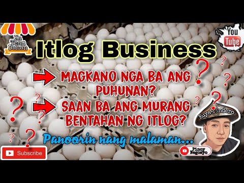 Magkano ang puhunan sa itlog business saan ba ang murang bentahan ng itlog panoorin mo ng ...