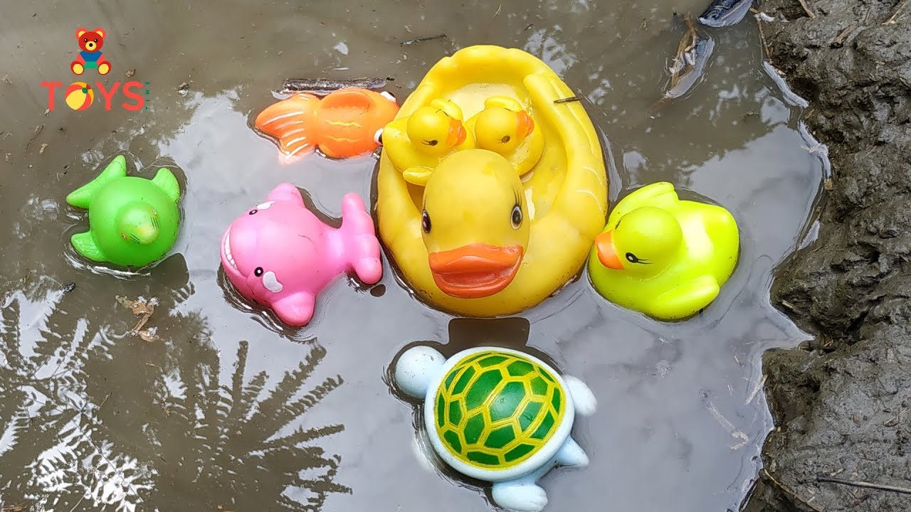 Duck for Children-Learn Colors with Duck | Toys Kids Video-Best gift ...