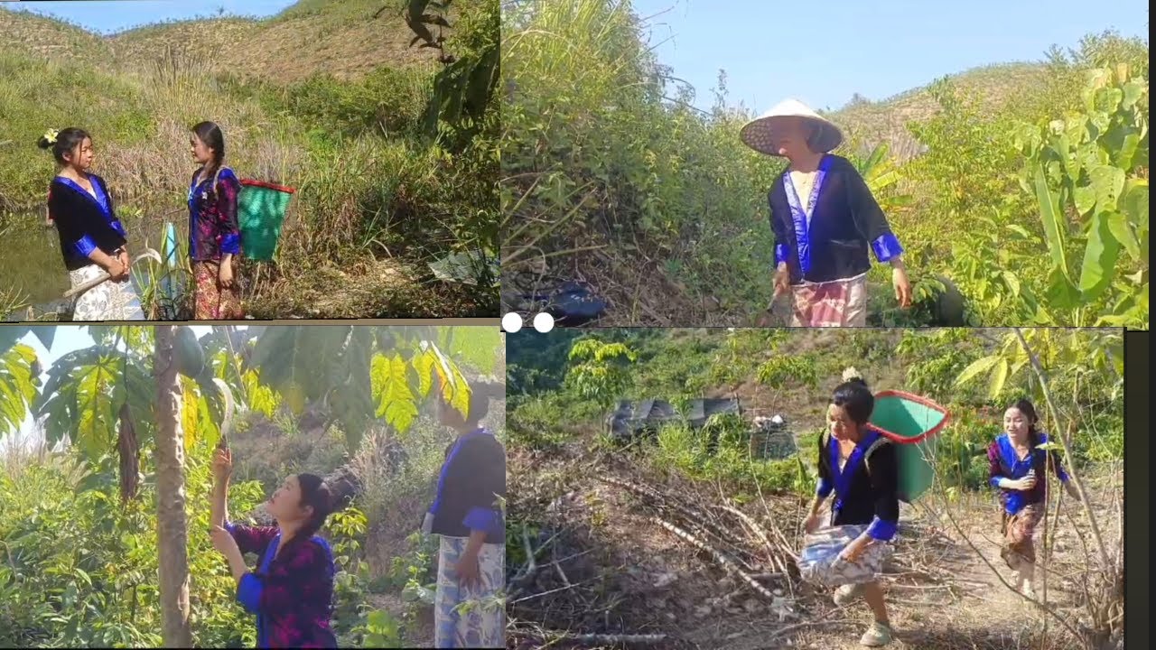 hlua nkauj moob nyiag taub ntoo - YouTube