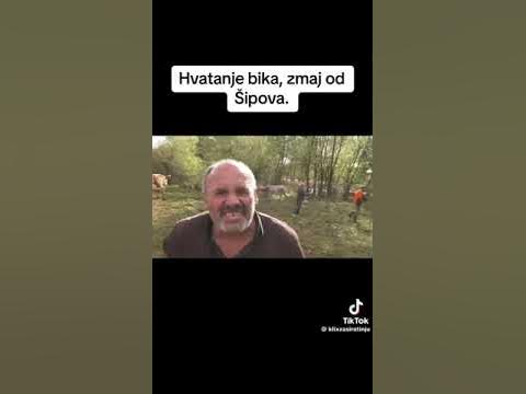Hvatanje BIKA na Zmajev nacin *ZMAJ OD SIPOVA * - YouTube