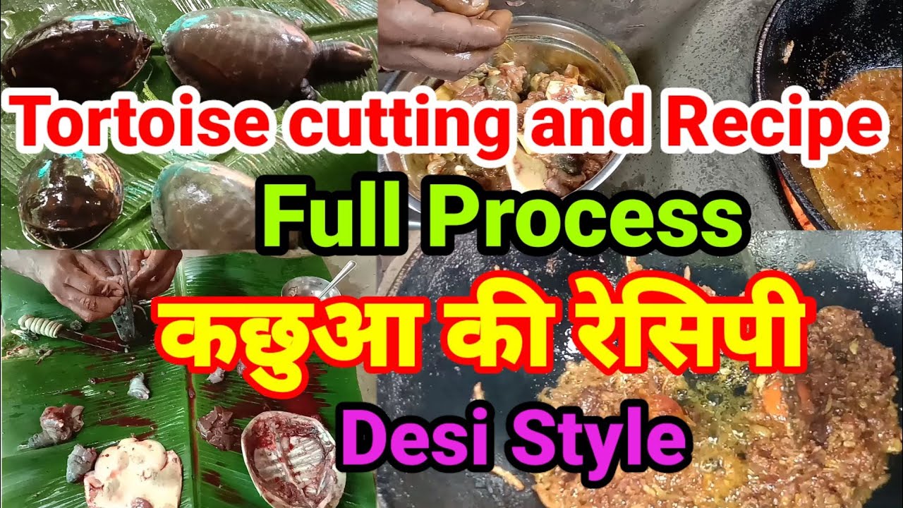 How to Tortoise Cutting and Recipe | Full Process | Desi Style | कछुआ ...
