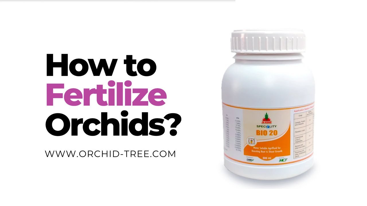 How to fertilize orchids? | Nutrients for Orchids | by Orchid-tree.com ...