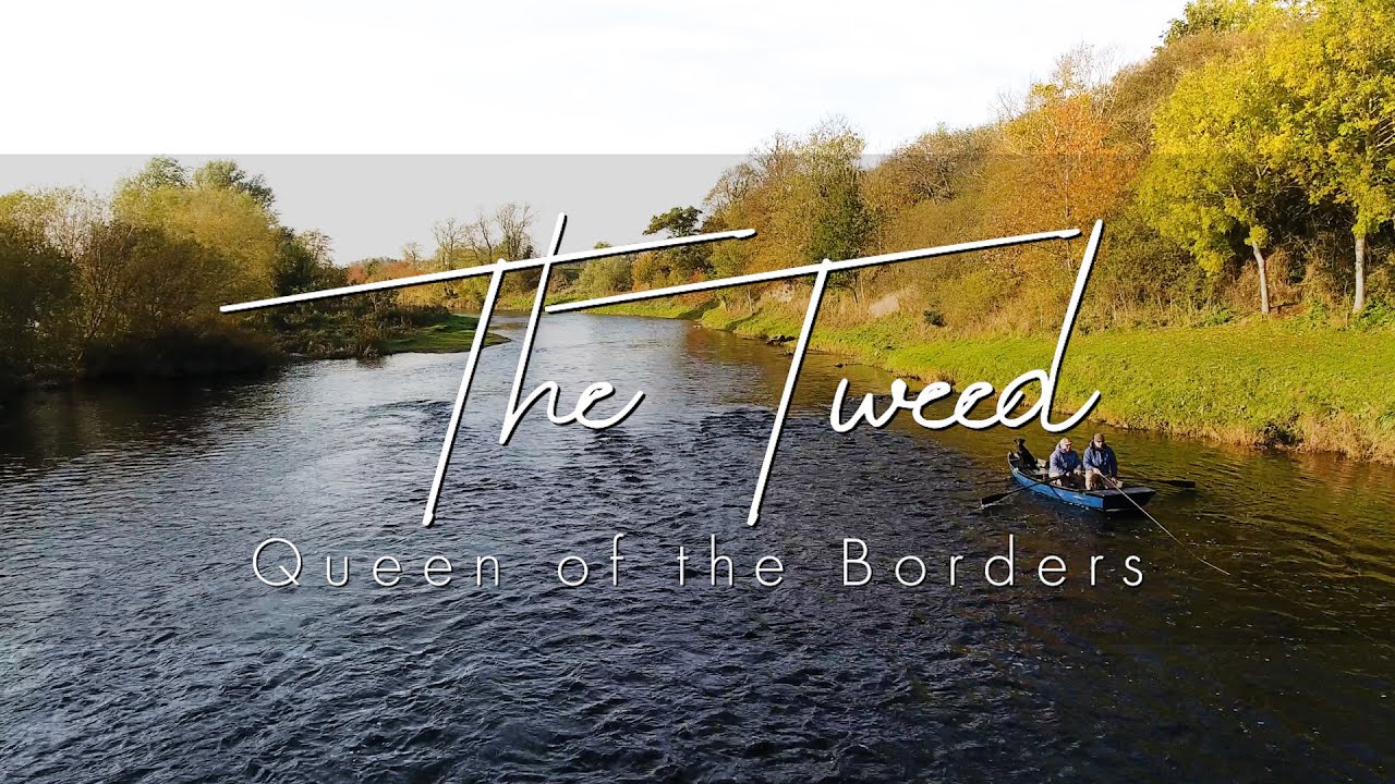 River Tweed - Queen of the Borders: A Short Introduction to Salmon ...