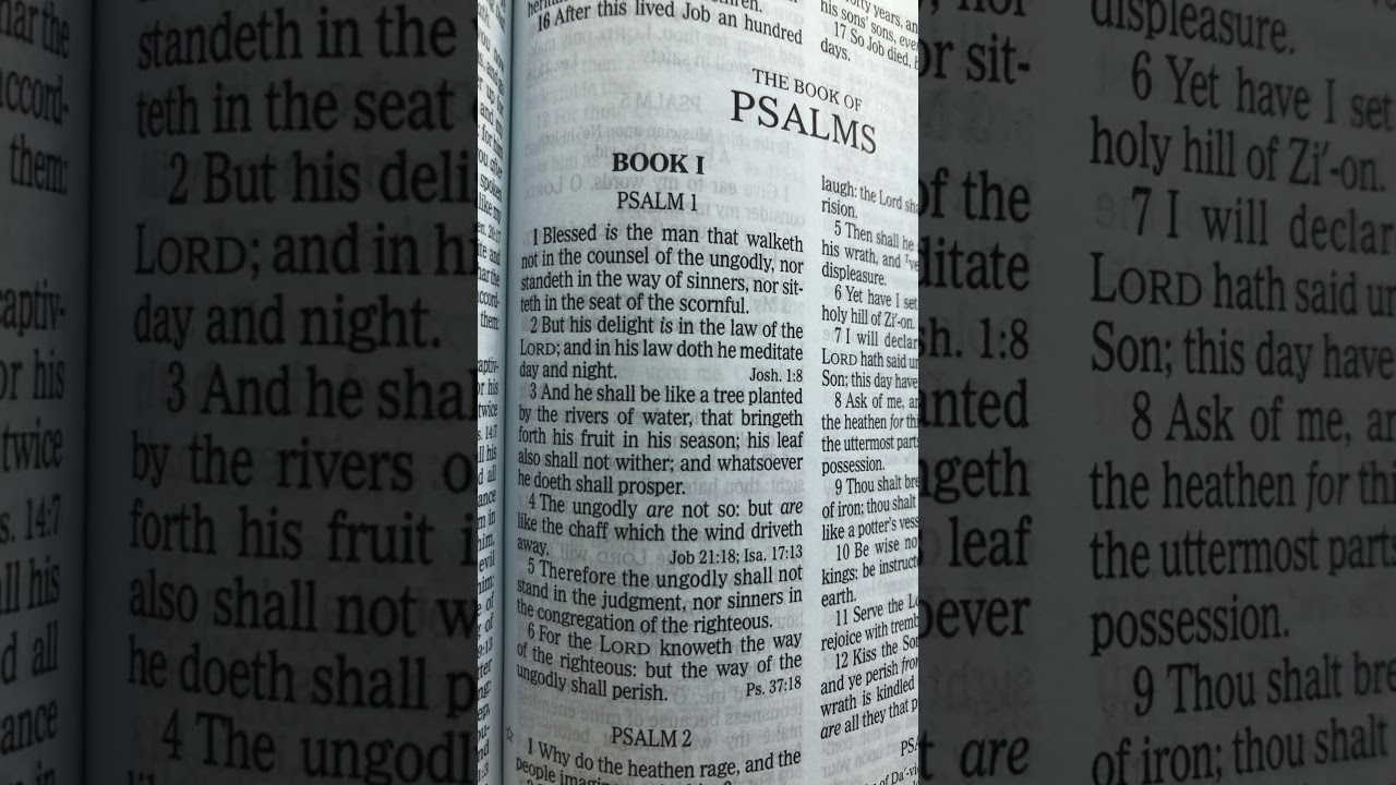 Psalm 1 KJV YouTube Psalm 1 KJV YouTube