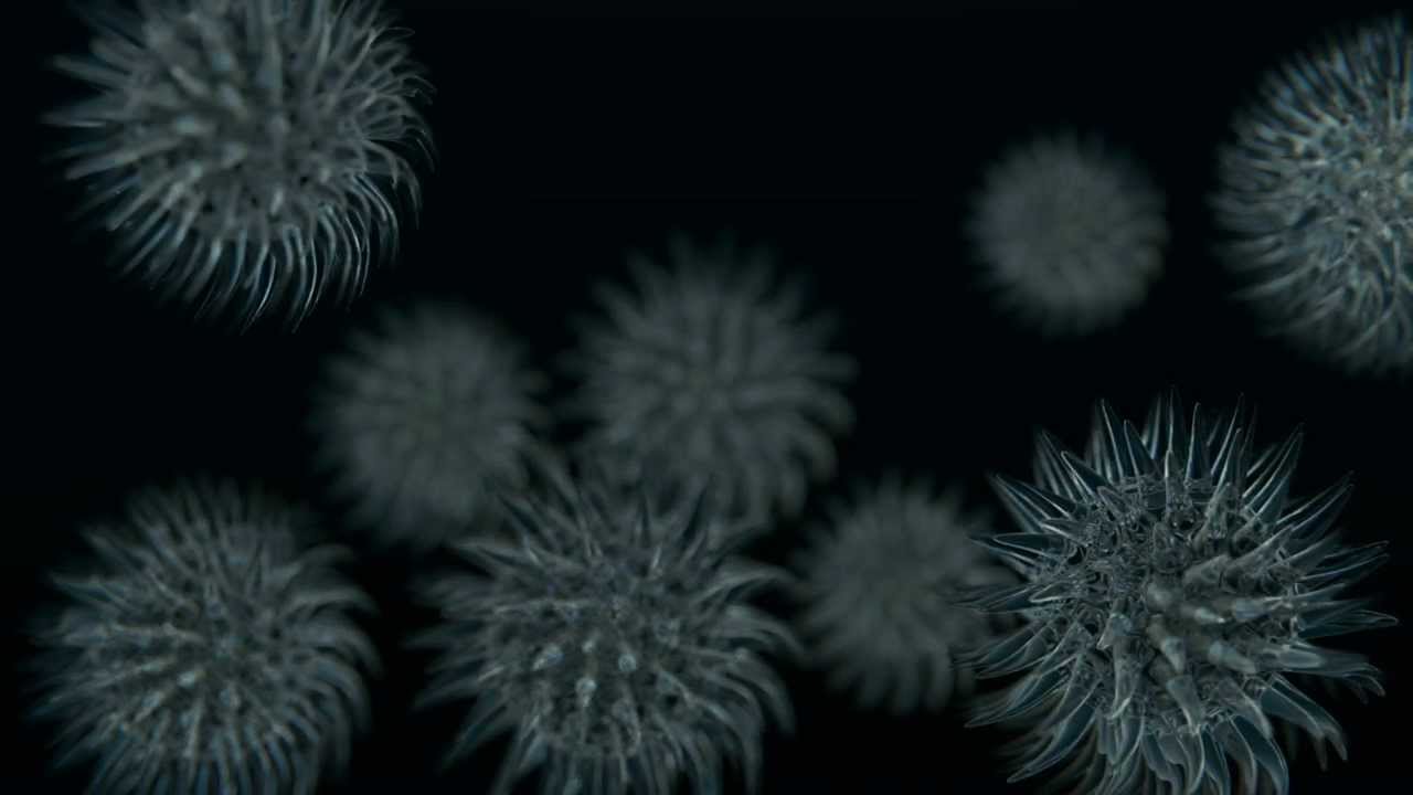 Virus Animation - YouTube