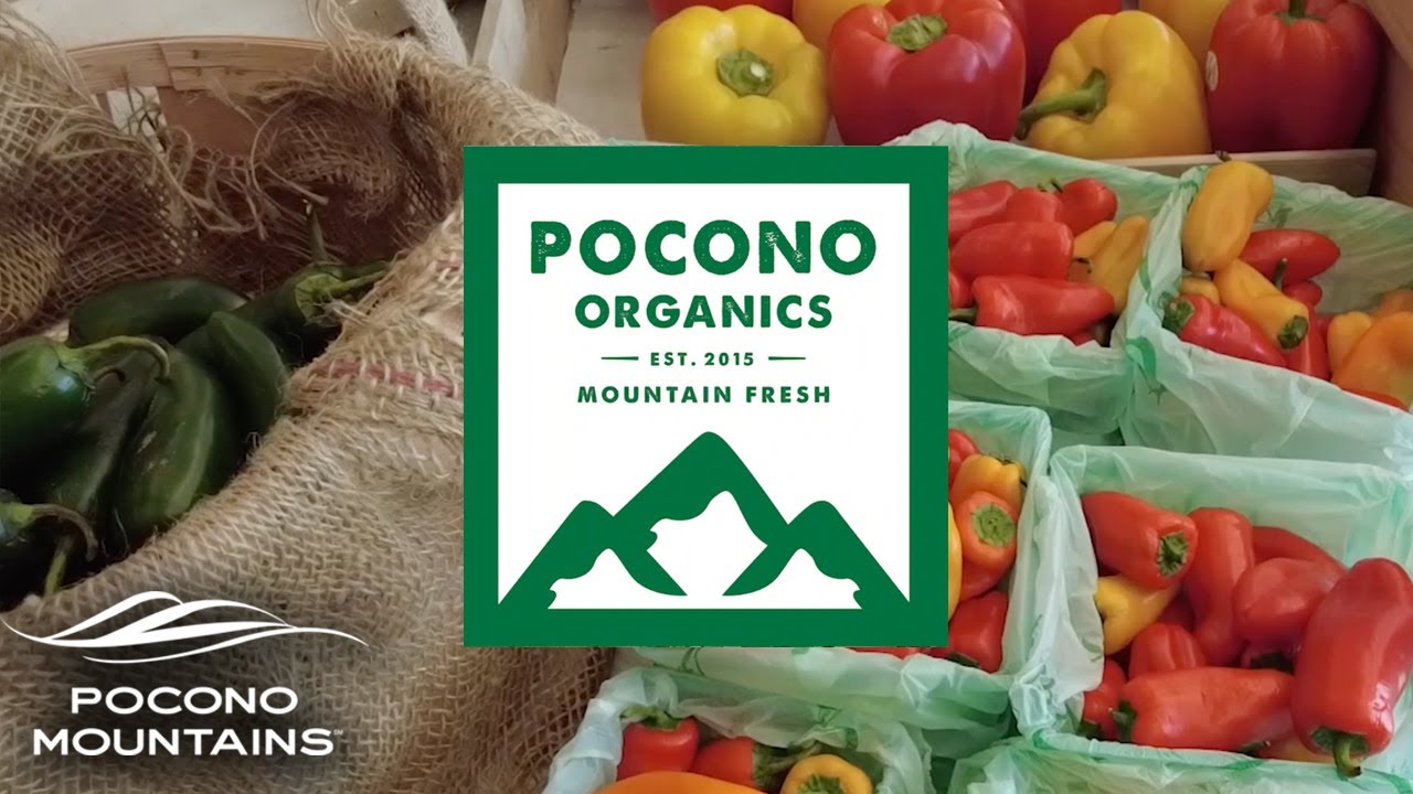 Browse the Fresh Produce at Pocono Organics Market & Cafe - YouTube
