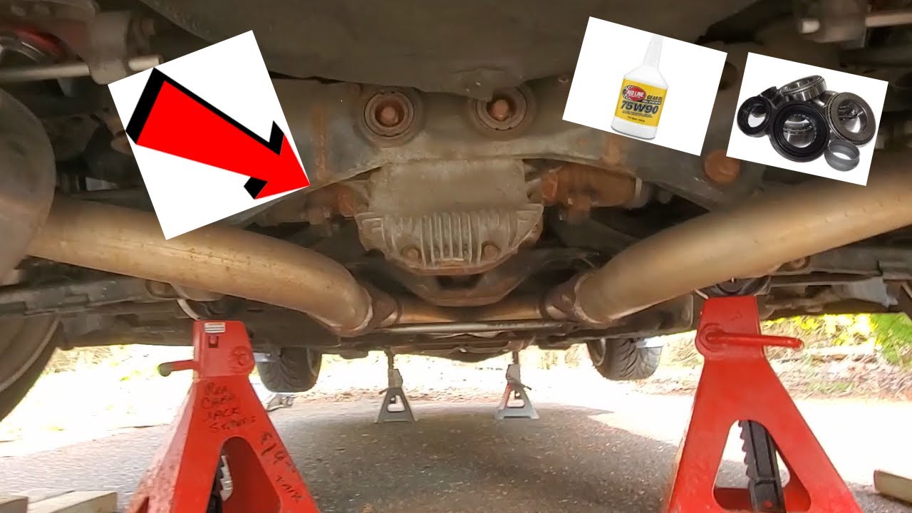 Complete Guide on How to Remove and Install Differential Seals for a ...