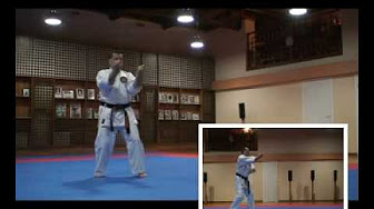 Katas Uechi Ryu - YouTube