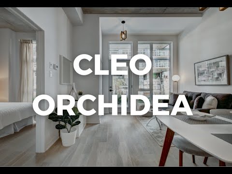 Cleo Network - Orchidea - YouTube