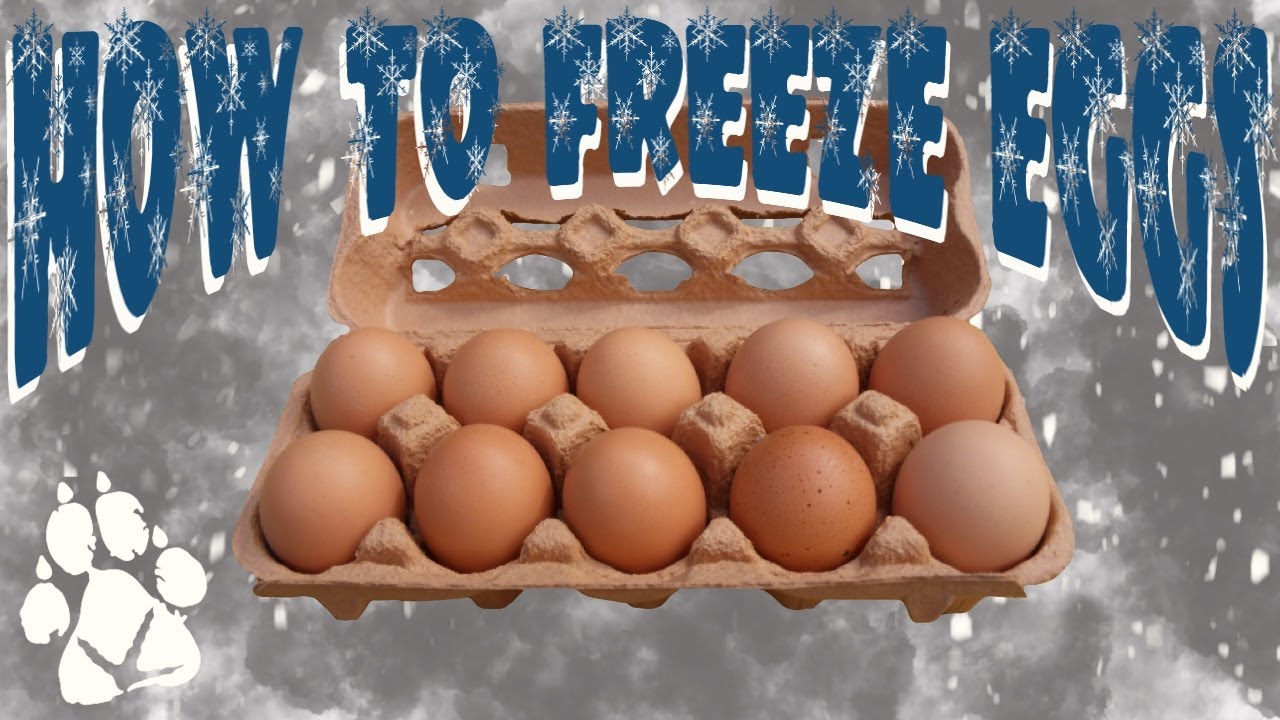 How to freeze eggs. Learn a fast and simple way to freeze eggs! - YouTube