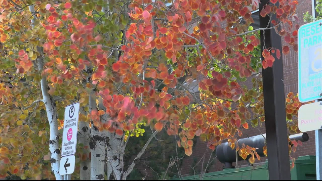 Fall Colors Dim - YouTube