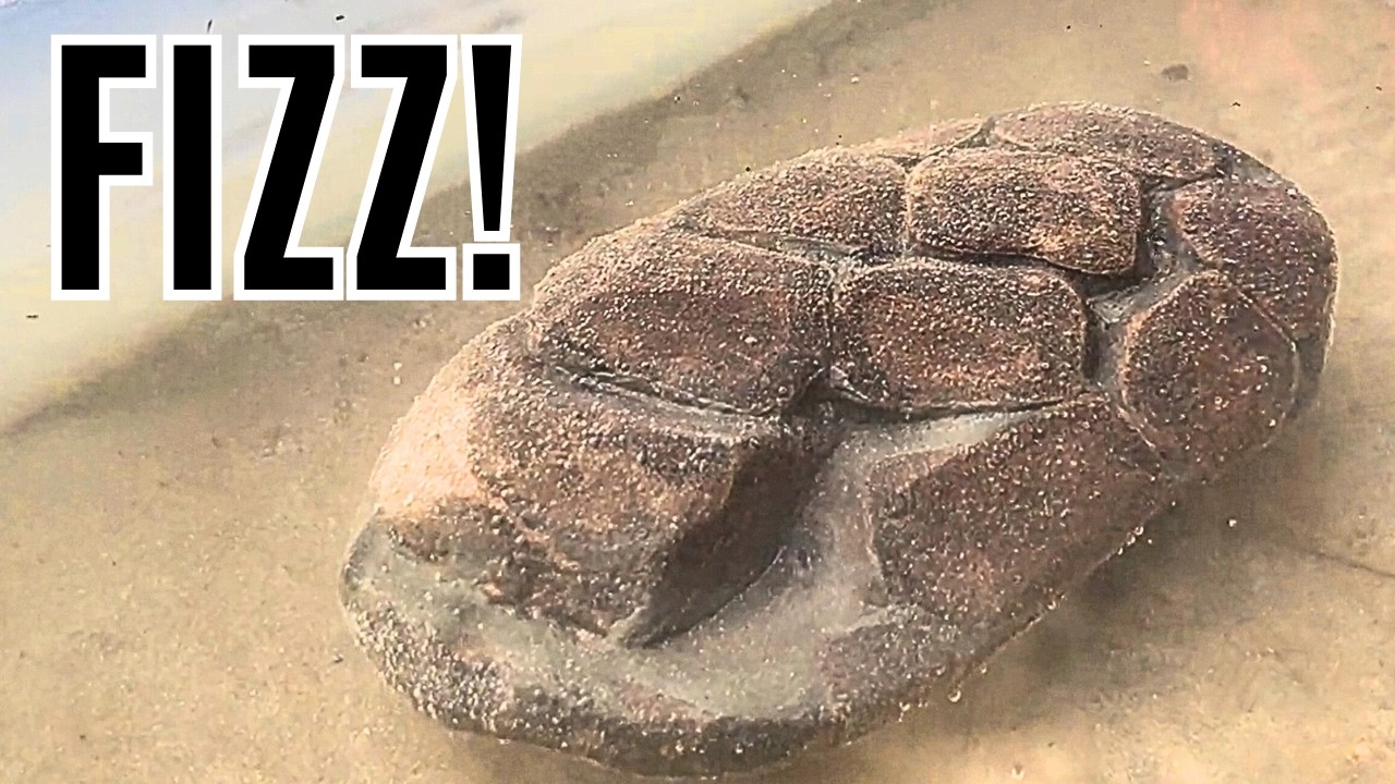 Fossil Bones Prepared Using ACID & AirTools - YouTube