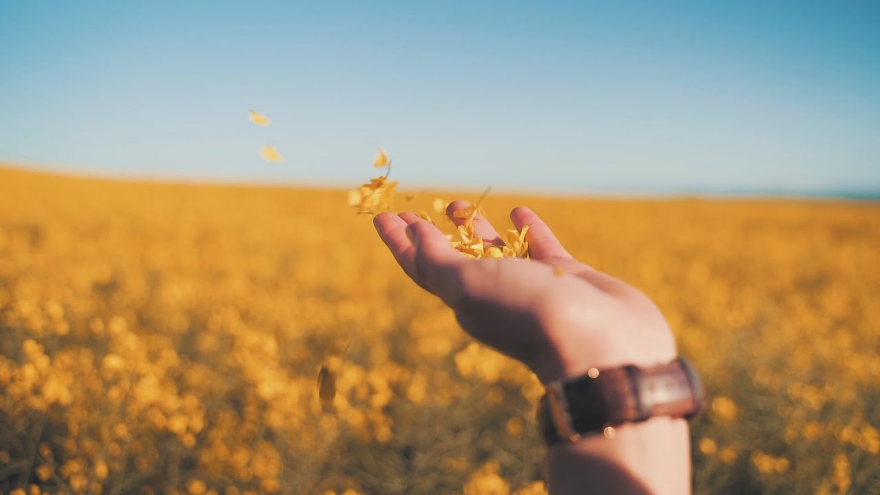Bee-Pet - Between Dancing and Being (feat. Becky Gaber) - YouTube